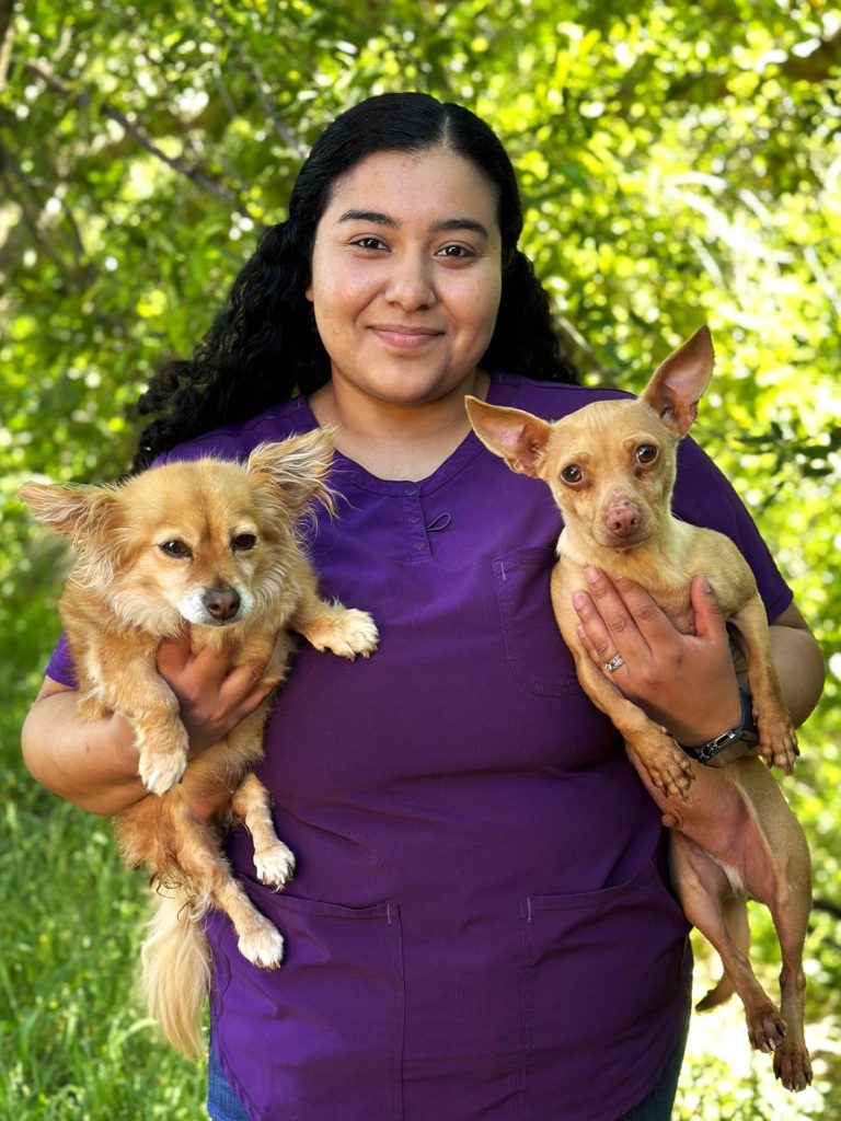 Our Team | Ross Valley Veterinary Hospital